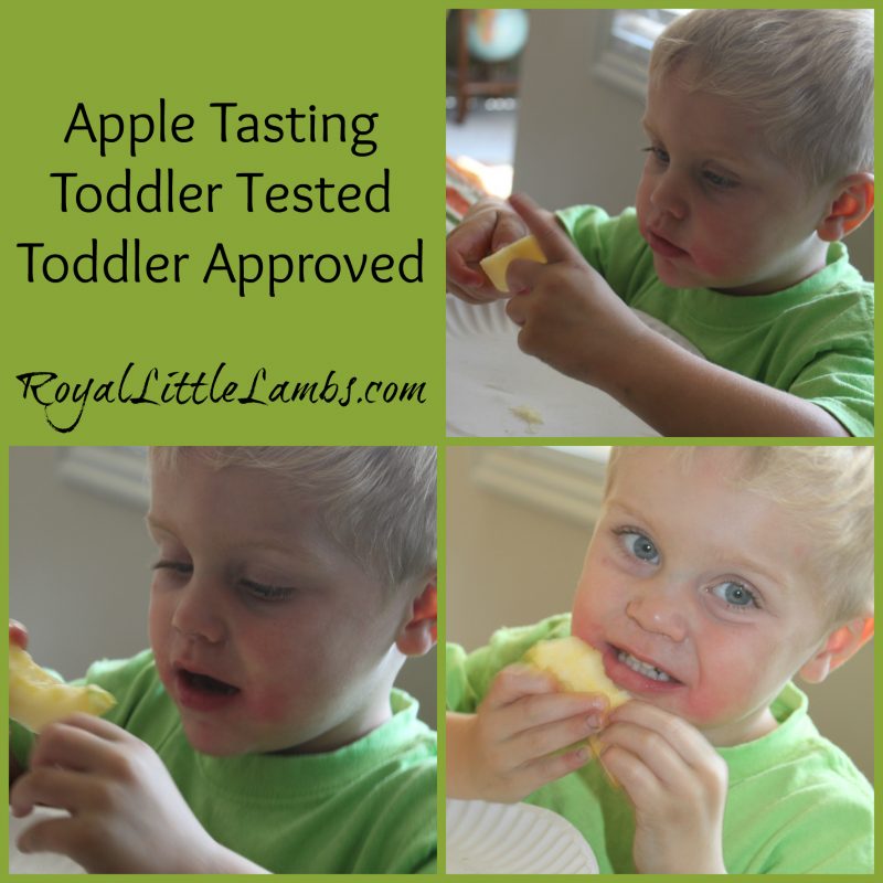 Apple Tasting
