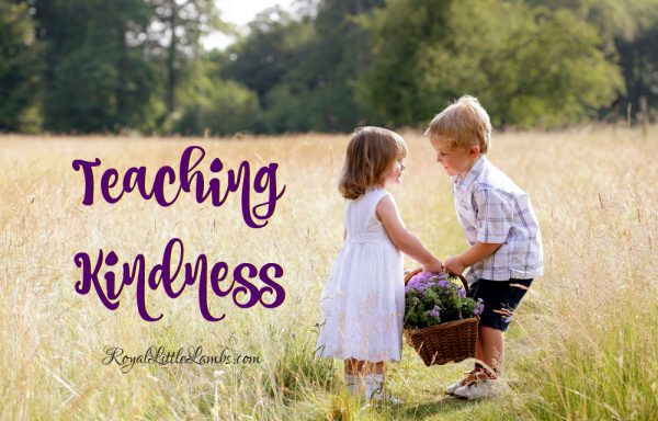 Teaching Kindness