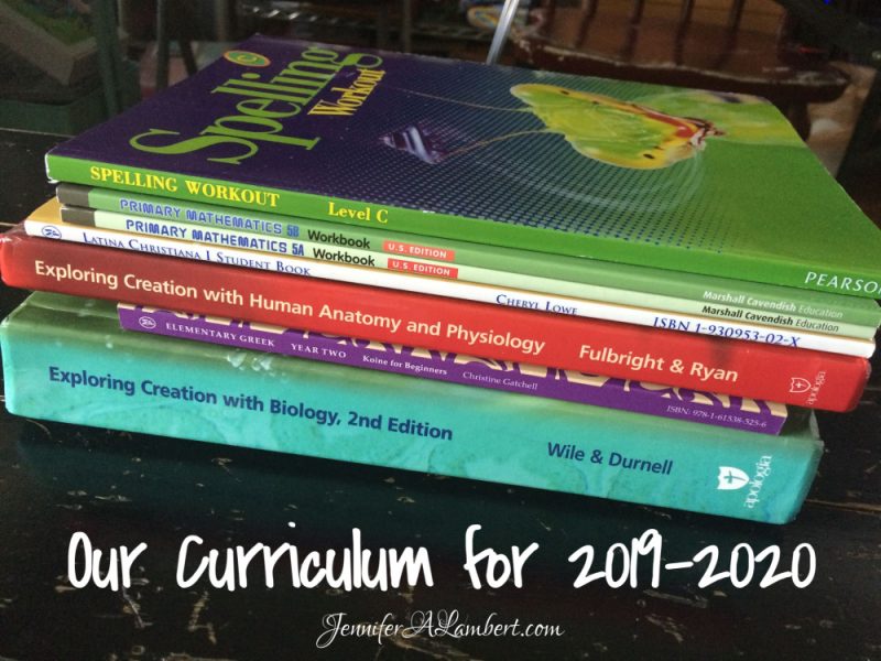Our Curriculum for 2019-2020